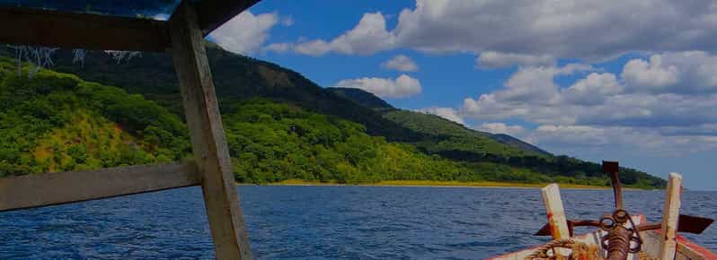 Chimpanzee track in Gombe national park | GetYourGuide