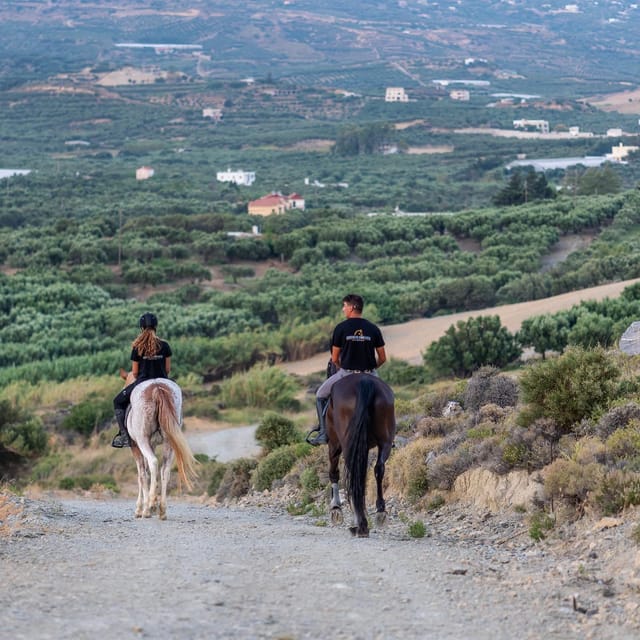 Crete Horse Riding: Cretan Countryside Ride | GetYourGuide
