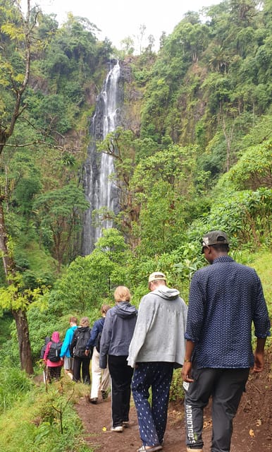 Materuni Waterfall & coffee tour with lunch+drinks | GetYourGuide