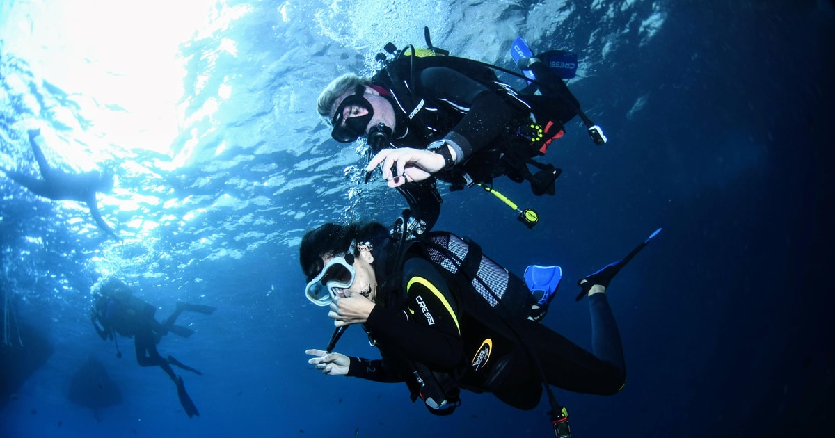L'Estartit: Try dive in a National Park with us! | GetYourGuide
