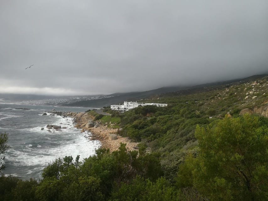 Unlock Table Mountain's Secrets: In-App Audio Tour | GetYourGuide