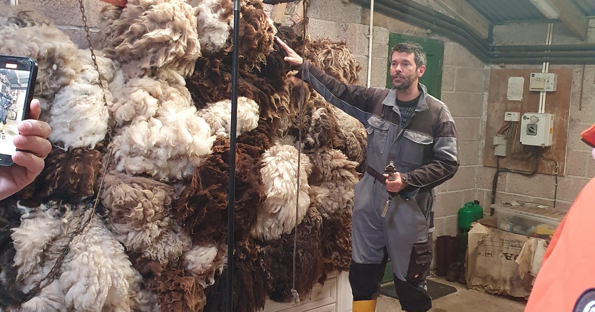 Bressay Explorer Crofting & Island Life Tour | GetYourGuide