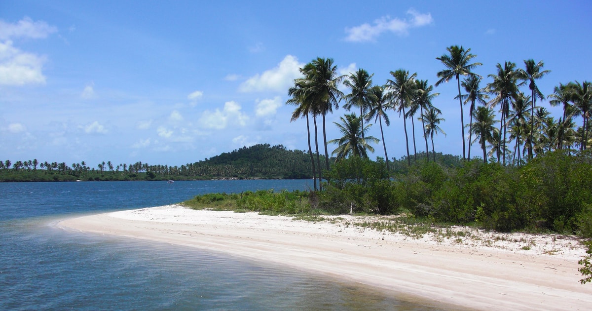 Recife: Tour to Carneiros with Catamaran Ride | GetYourGuide