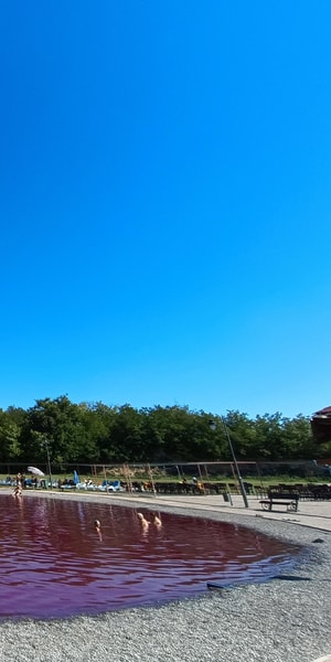 From Belgrade: Pink lake - Pacir Thermal spa | GetYourGuide