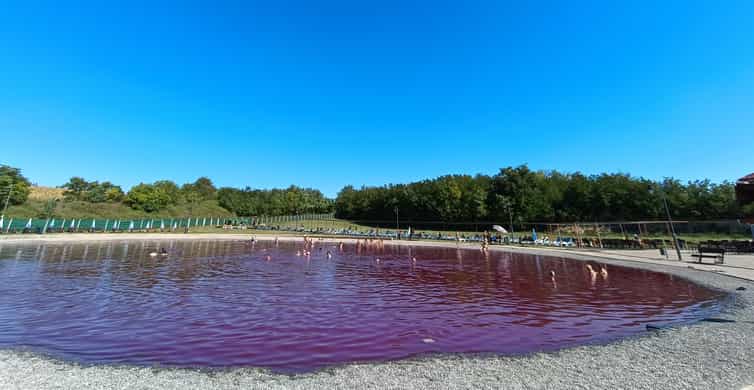 From Belgrade: Pink lake - Pacir Thermal spa | GetYourGuide
