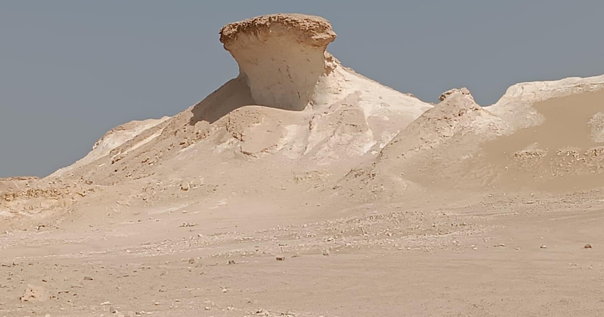 Doha: Camel Race Track, Zekreet, and Art Installation Tour | GetYourGuide