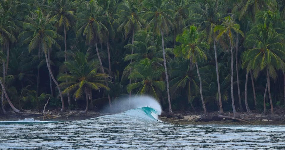Punta Cana Surfing Experience: Surf in Dominican Republic | GetYourGuide