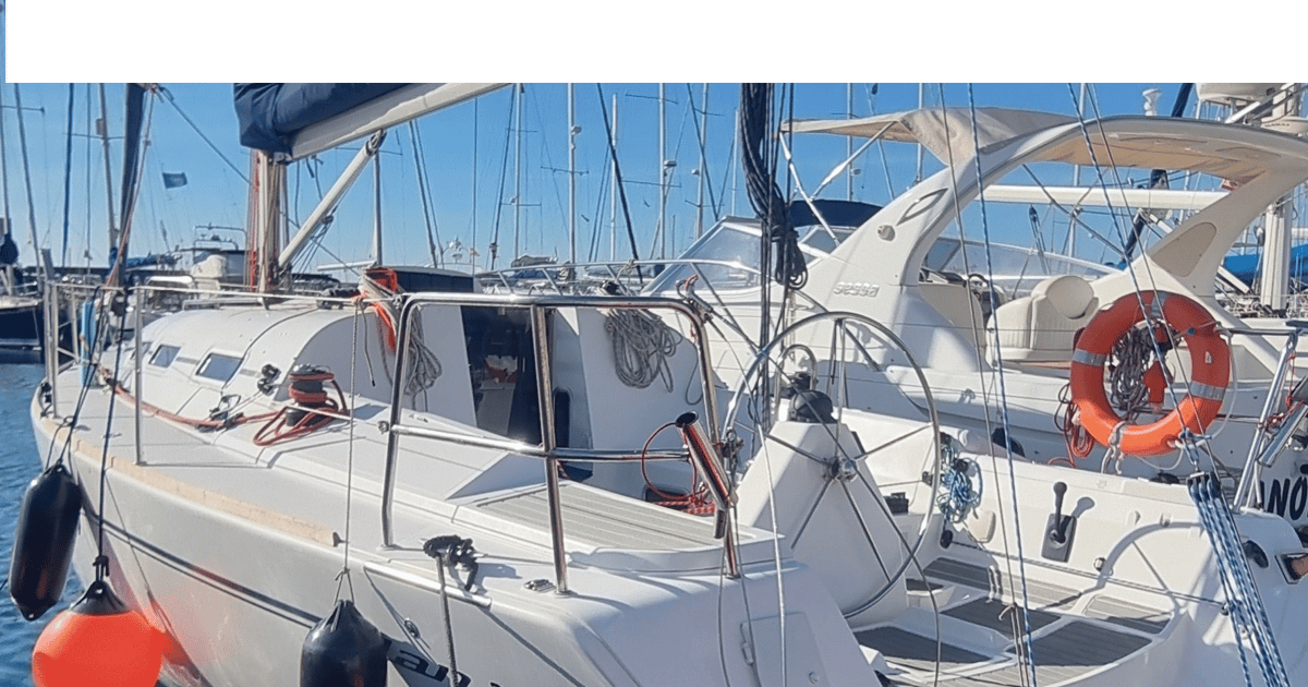 Marbella-Boat tours and dolphins visit | GetYourGuide