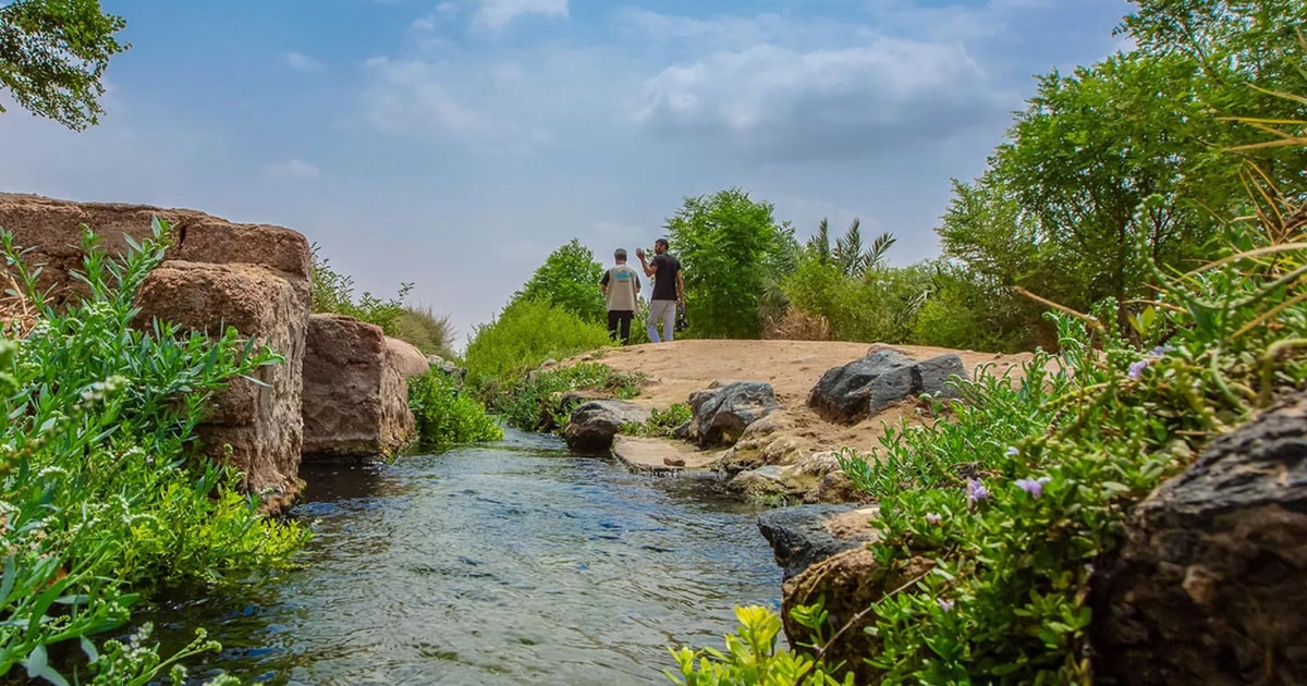 Guided Tour in Yanbu The City of Springs | GetYourGuide