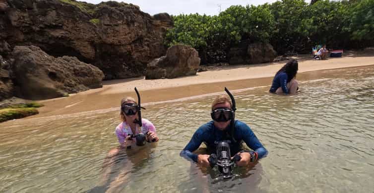 Beginner Jet Snorkel Tour with Videos - Miami | GetYourGuide