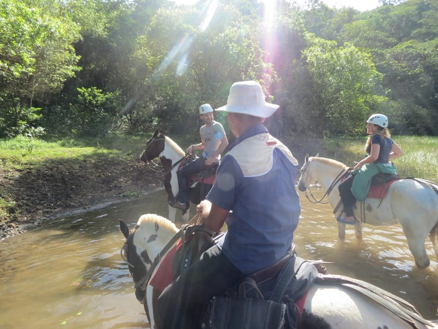 Horseback Riding to La Fortuna Waterfall, Maleku Experience | GetYourGuide