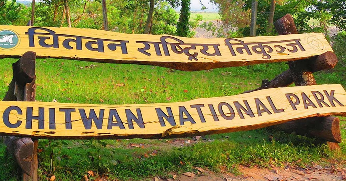 Nepal: 3 days Chitwan National Park Jungle Safari with Meals | GetYourGuide