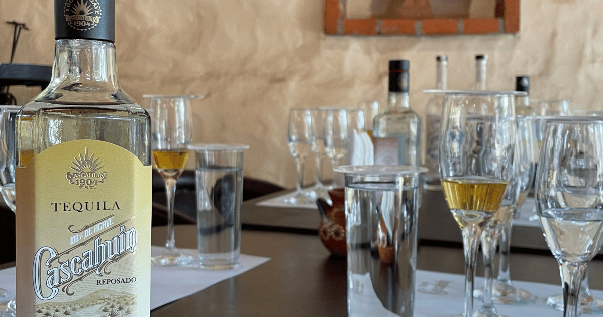 Die Essenz des Tequila | GetYourGuide