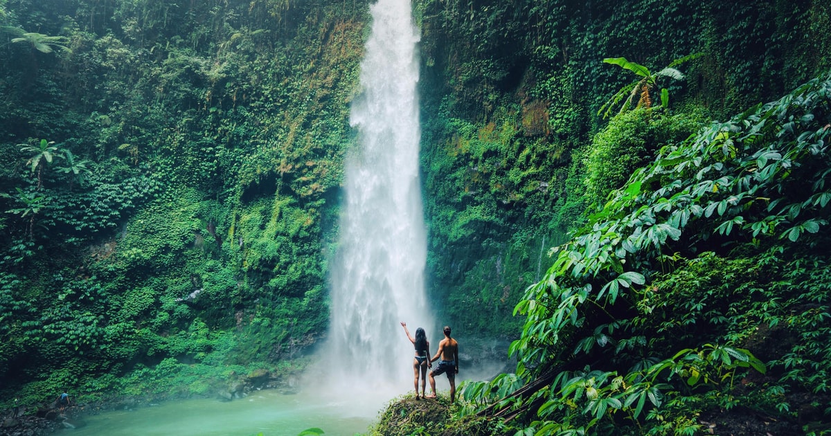 Ubud : Sacred Monkey Forest, Waterfall, Temple & Swing Tour | GetYourGuide