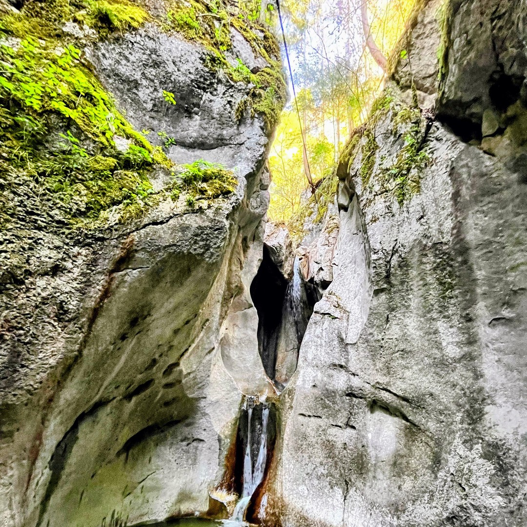 Bad Ischl: Canyoning Tour With Epic Rappels in Salzkammergut | GetYourGuide