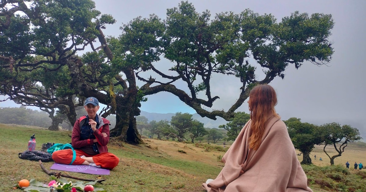 Madeira: Cerimónia e piquenique de ligação das árvores da floresta do ...