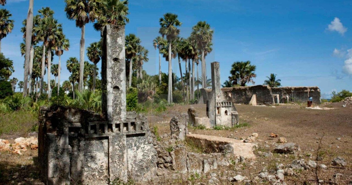 Pemba Island: Mkama Ndume Fortress Tour with Photos | GetYourGuide