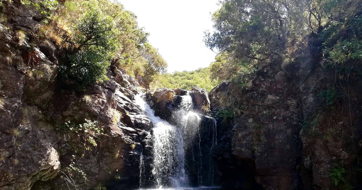 Madeira’s Hidden Waterfall Gem - Lagoa do Vento | GetYourGuide
