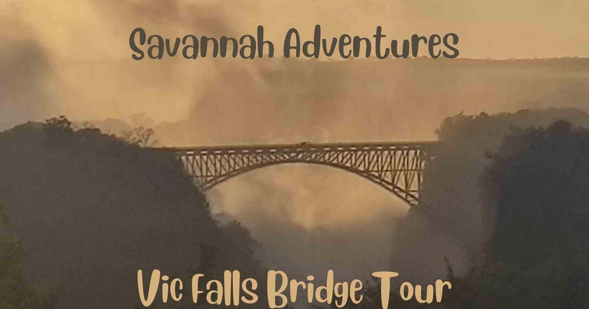 Victoria Falls: Vic Falls Bridge Tour | GetYourGuide