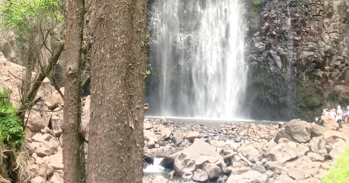 KILI TRANSFERS, CHEMKA, MATERUNI WATERFALLS ADVENTURES | GetYourGuide