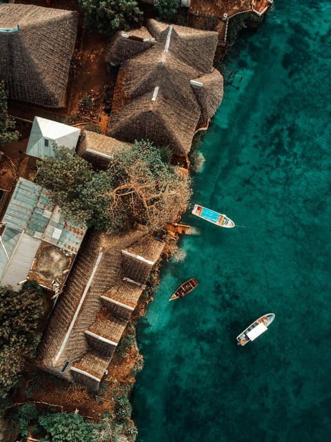 KISITE NATIONAL PARK AND WASINI ISLAND: DAY TOUR FROM DIANI | GetYourGuide