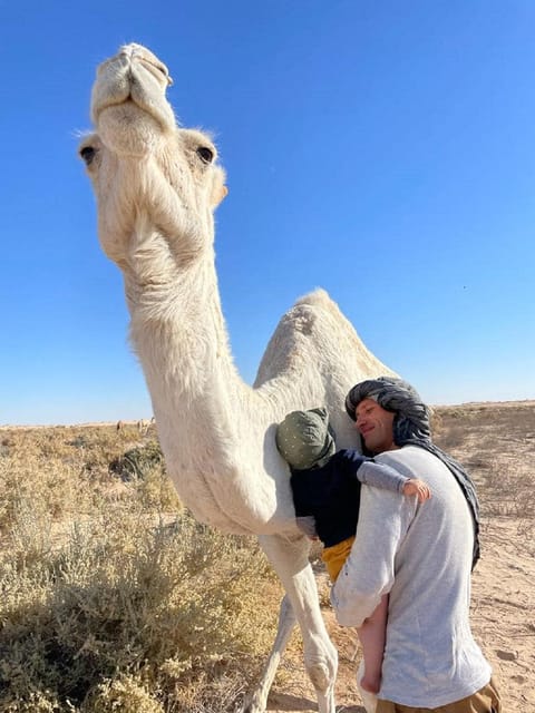 A Night in Bivouac in the Douz Desert | GetYourGuide