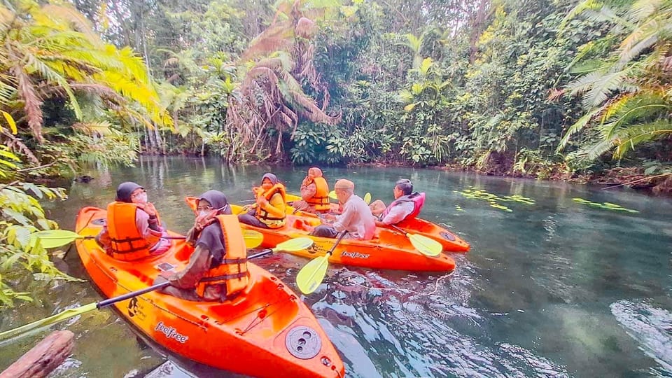 Krabi kayaking and swimming clongrood Tour | GetYourGuide