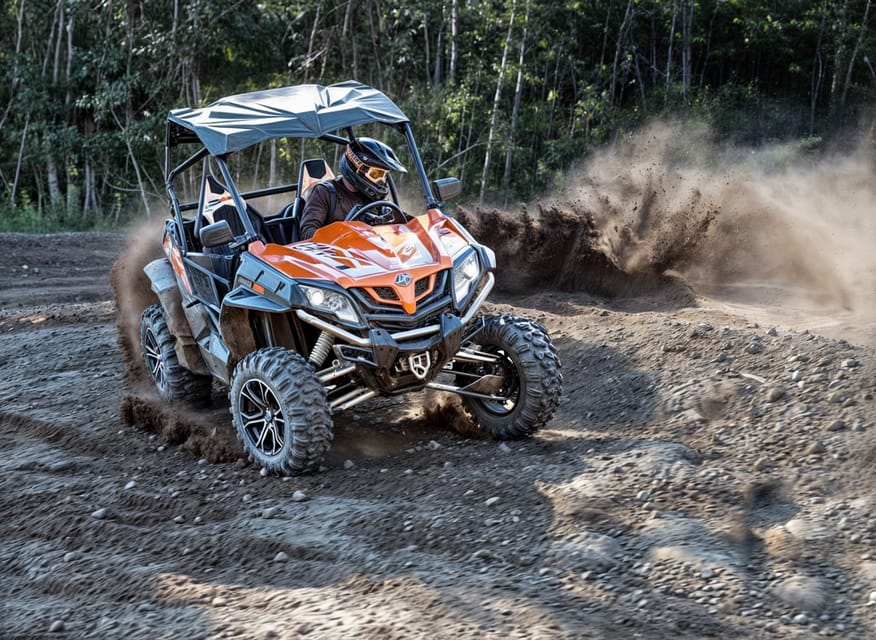 Buggy riding in the palm trees and desert of Marrakesh | GetYourGuide