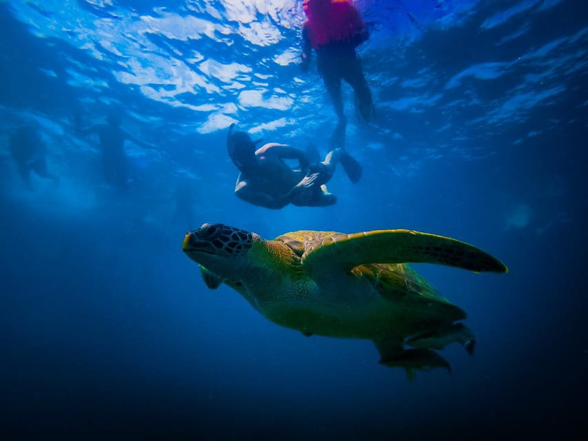 Ko Tao: Late Riser Island Hopping Tour with Lunch and Sunset | GetYourGuide