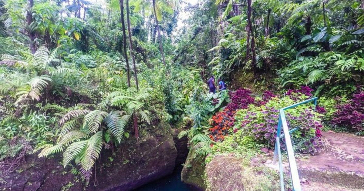 Dominica: Get Set Wet Day Tour | GetYourGuide Dominica: Get Set Wet Day Tour | GetYourGuide