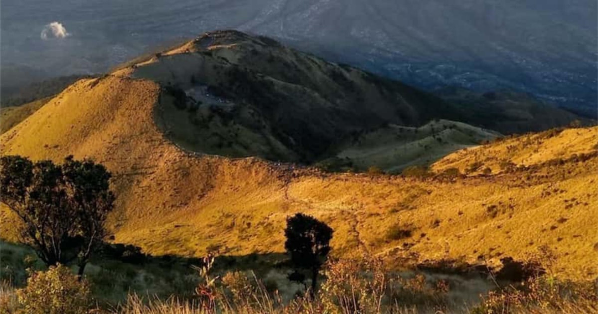 Von Yogyakarta aus: Merbabu 2-tägige Camping-Wanderung mit allen Kosten ...