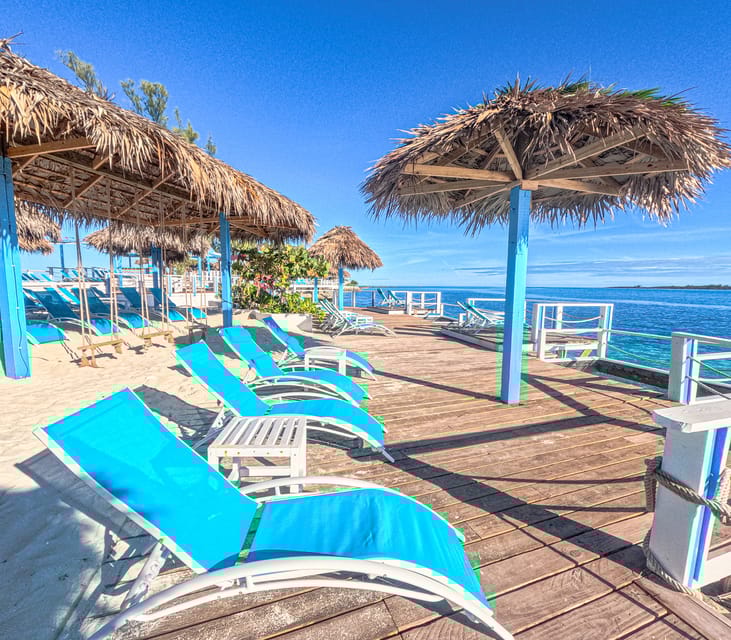 Nassau: Sun Cay Day Trip, Snorkel, Iguana Encounter, & Lunch | GetYourGuide