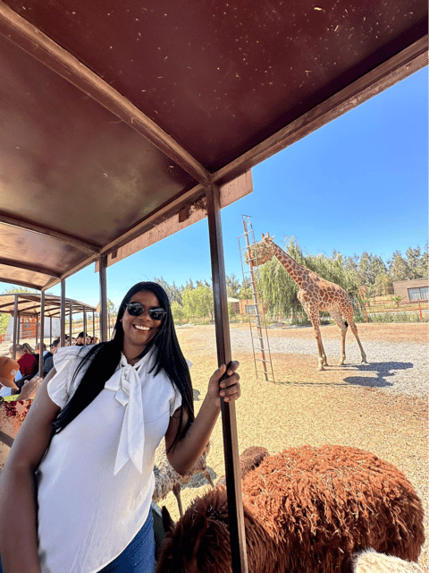 Santiago: Safari Rancagua Tour | GetYourGuide