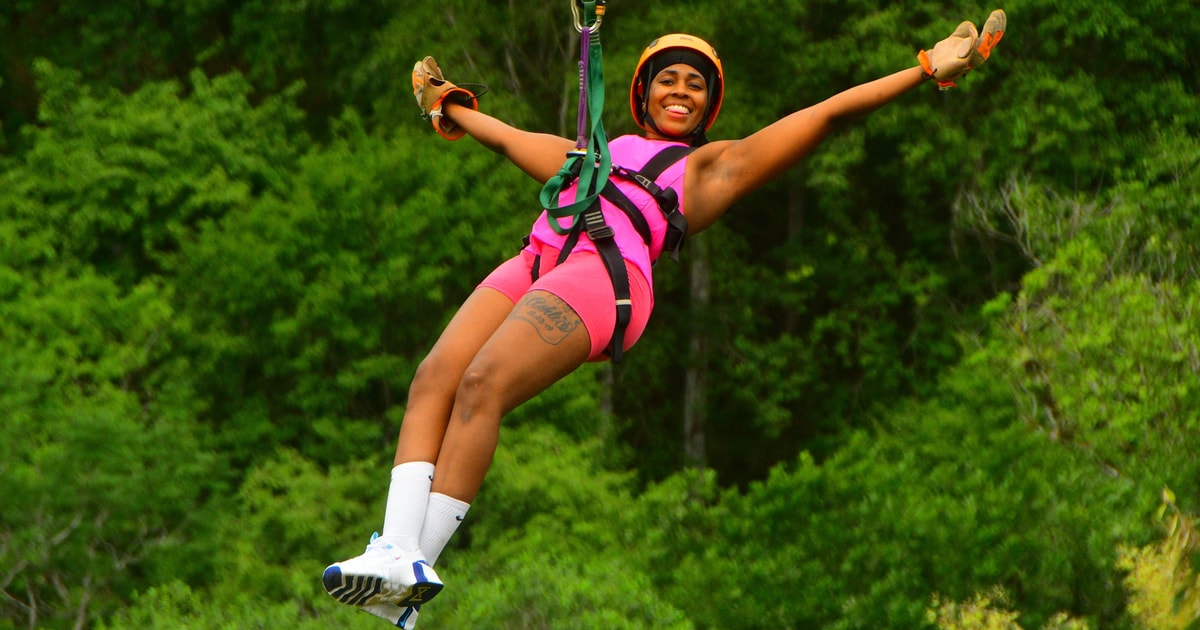 Mountain View Zipline Experience | GetYourGuide