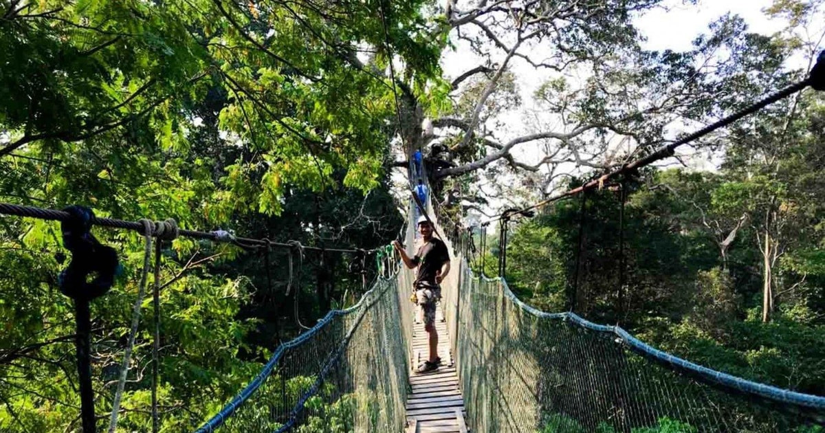 Jungle Adventure | Zip Line, Canopy, Kayak| | GetYourGuide