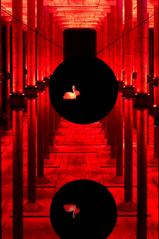 Houston: Cistern Art Installation "Haha Real" Entry Ticket | GetYourGuide