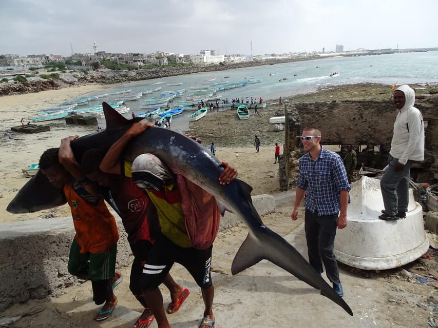Mogadishu City Tour 3 Days and 2 Nights | GetYourGuide