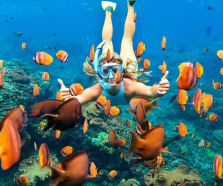 SD Point Diving spot, 누사 페니다 - 티켓 및 투어 예약 | GetYourGuide
