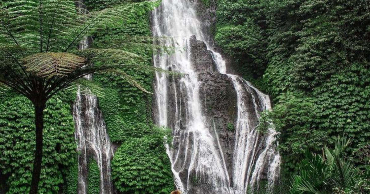 Bali: UNESCO Pirinç Tarlaları, Şelale, Beratan Tapınağı ve Gölü ...