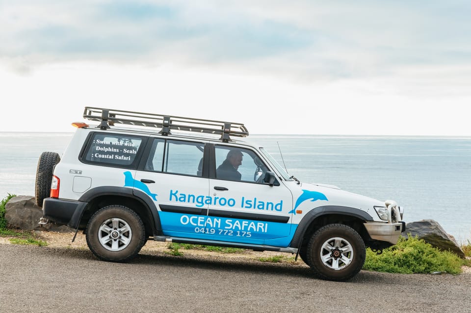 Kangaroo Island: 75-Minute Coastal Safari | GetYourGuide