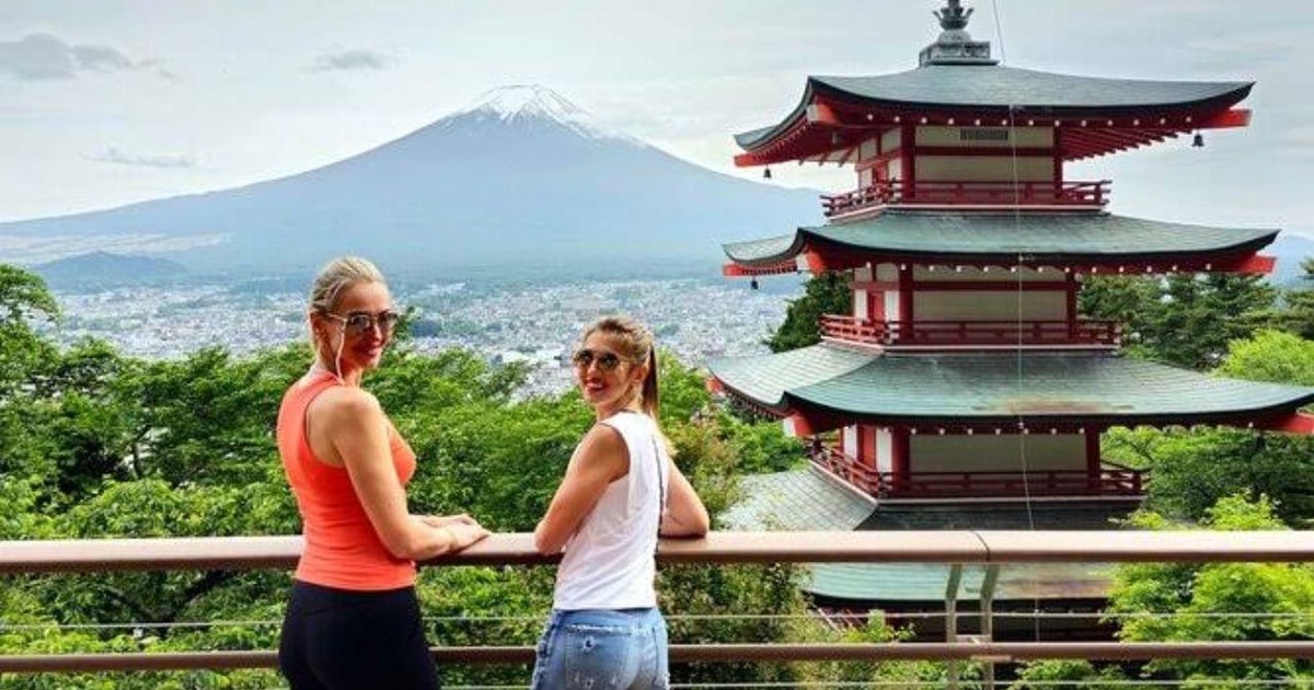 Mount Fuji Private Sightseeing Customized Day Tour | GetYourGuide