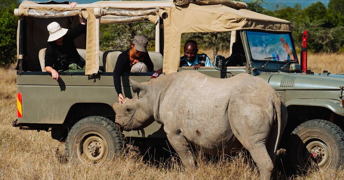 3 Days Ol Pejeta Conservancy Luxury Safari on 4x4 Jeep | GetYourGuide