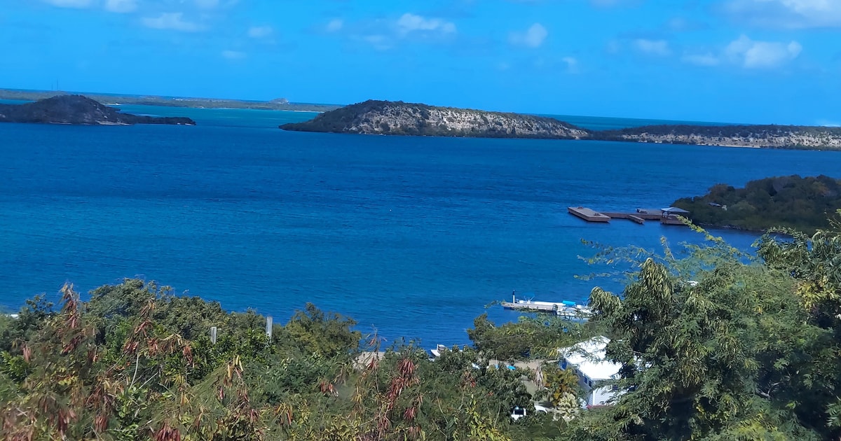 Stingrays Adventure and Long bay beach | GetYourGuide