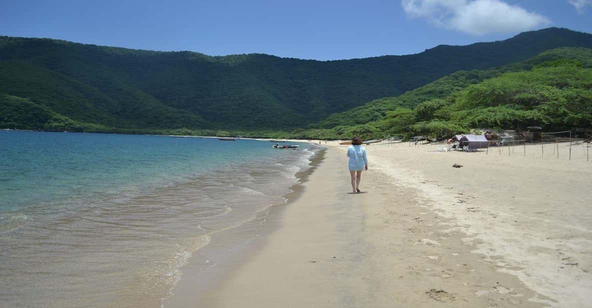 Tayrona Park: Group Tour To Concha Bay | GetYourGuide