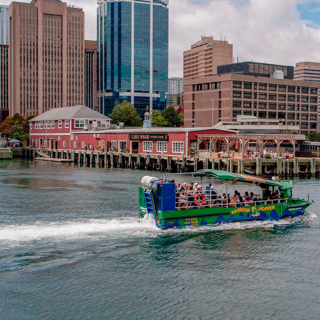 Halifax: Harbour Hopper City & Water Cruise in a Duck Boat | GetYourGuide