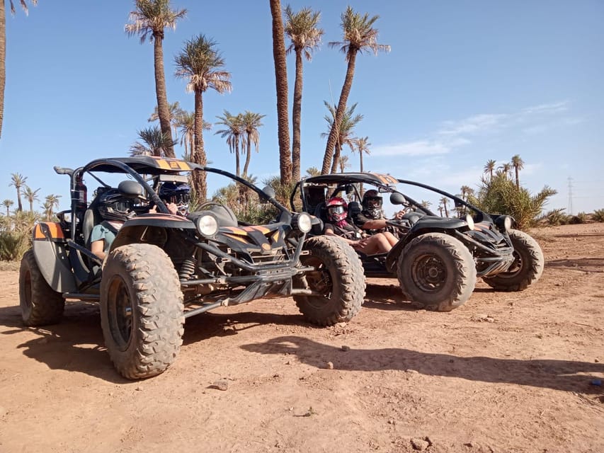 Marrakech : excursion buggy in the desert of the palm grove | GetYourGuide