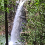 Trinidad: Avocat Waterfall and Maracas Bay Beach Tour | GetYourGuide