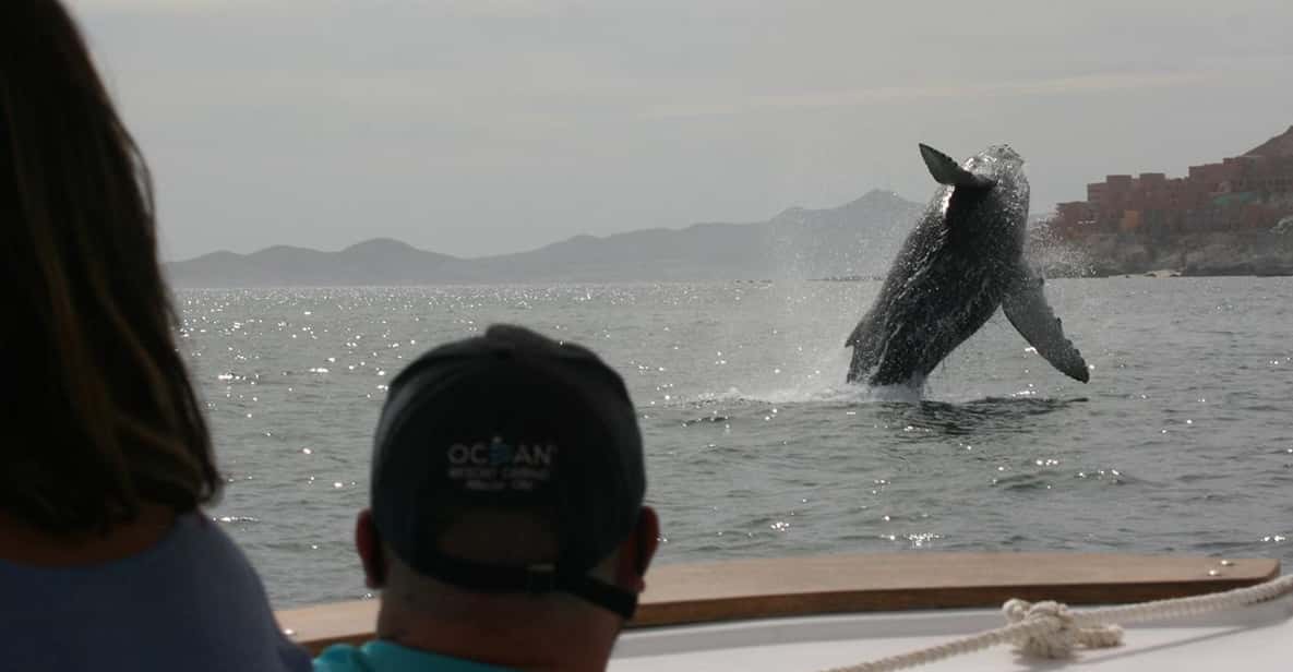 San Jose del Cabo private Wildlife Encounter | GetYourGuide