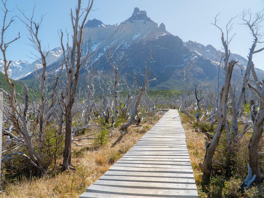 W Trekking | GetYourGuide