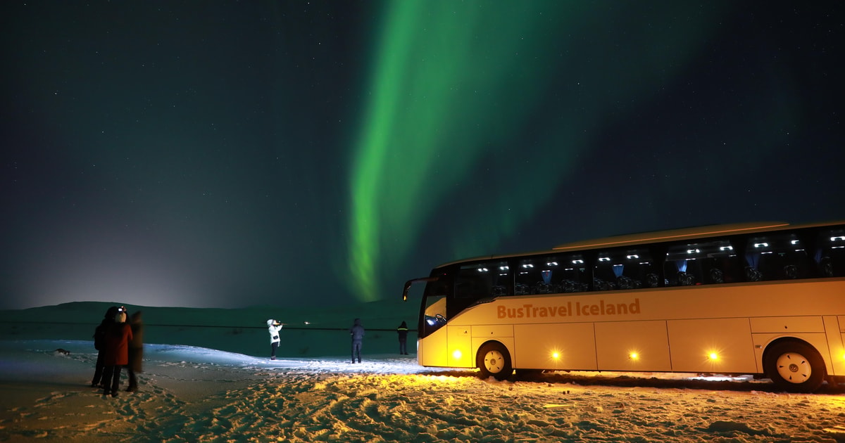 From Reykjavik: Northern Lights Bus Tour with Hot Cocoa | GetYourGuide